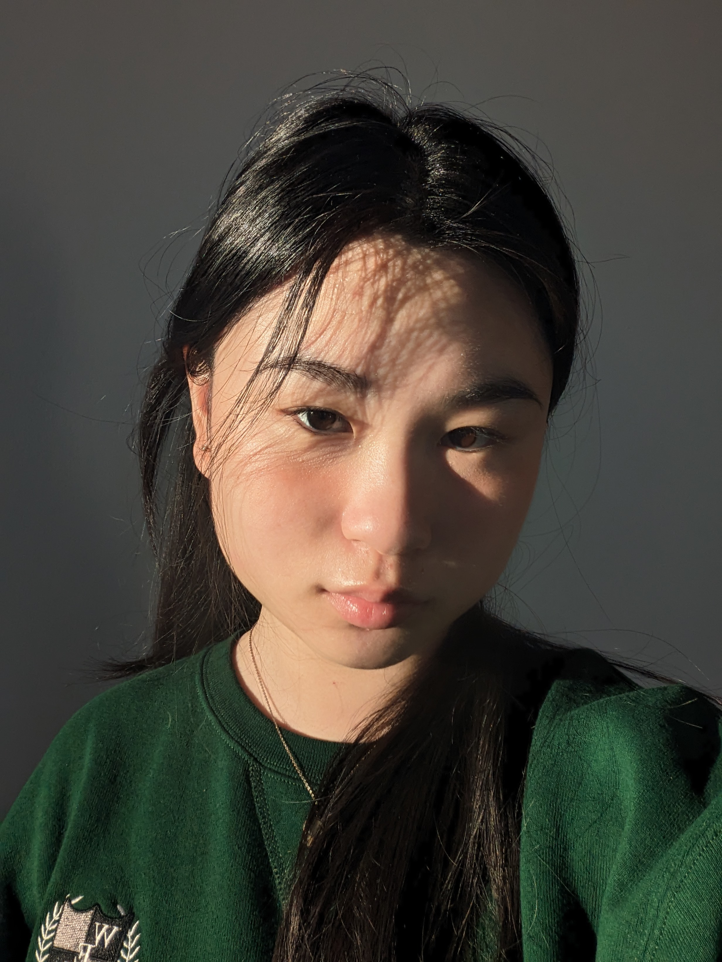 mentors · SASE 2024-2025 Mentorship Profiles